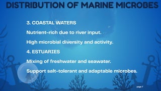Marine microbial communities - bacteria, fungi, protoza | PDF