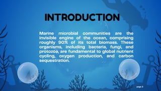 Marine microbial communities - bacteria, fungi, protoza | PDF