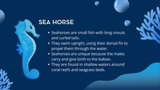 Ocean animals resentation.pdf