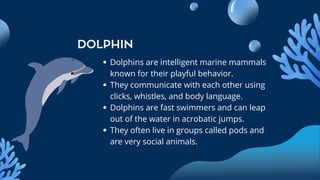 Ocean animals resentation.pdf