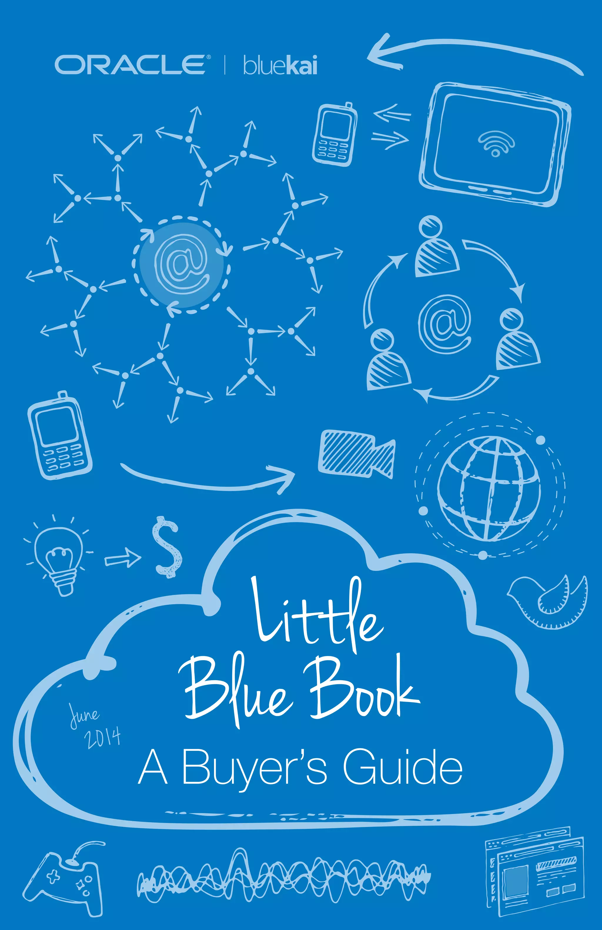 Bluekai Little Blue Book | PDF
