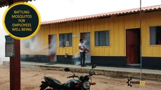 PRIMECO MINING LAGO AZUL (BLUE LAKE) MINE | PPT | Free Download