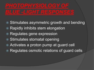 Blue light responses of plants | PPTX