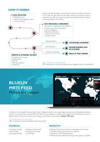 Blueliv Corporate Brochure 2017 | PDF