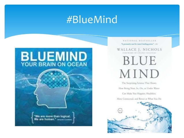 Blue Marble Project - Alpha Delta Kappa, World Understanding