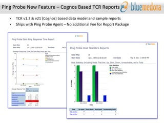 Blue Medora IBM Tivoli Monitoring (ITM) Agent for Ping Probe | PPT