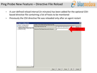 Blue Medora IBM Tivoli Monitoring (ITM) Agent for Ping Probe | PPT
