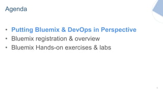 Bluemix DevOps Services | PPTX