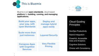 Bluemix Standard Deck for Clients | PDF