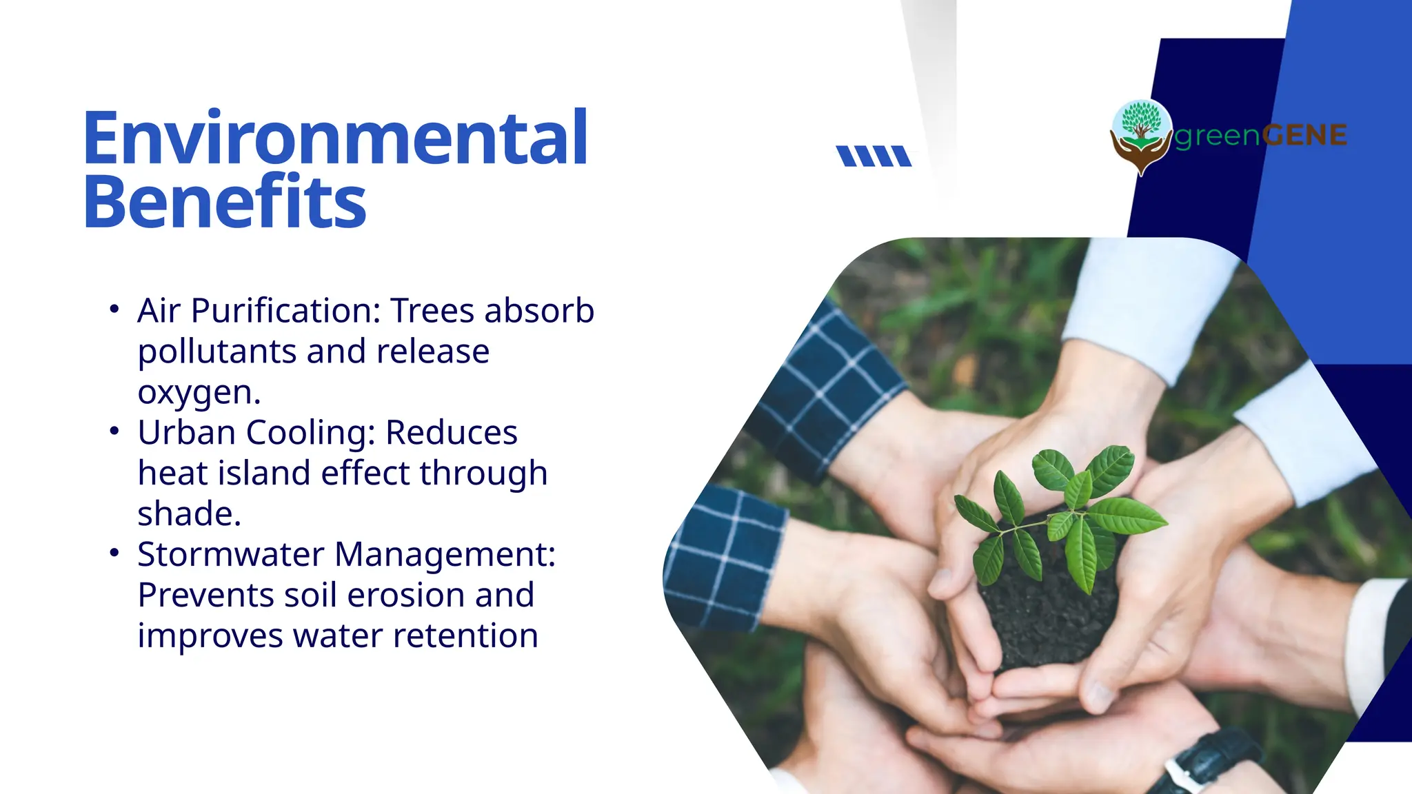 Importance of Green Spaces in Urban Areas | PPTX