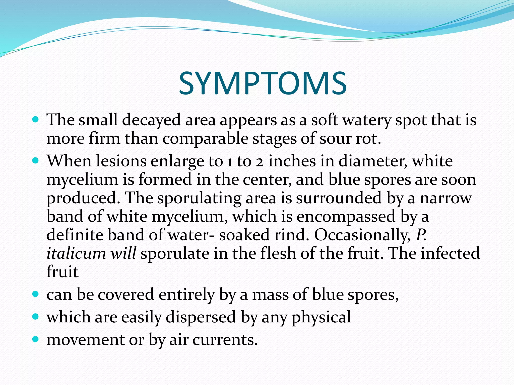 Blue mold of citrus (Penicillium italicum) | PPTX