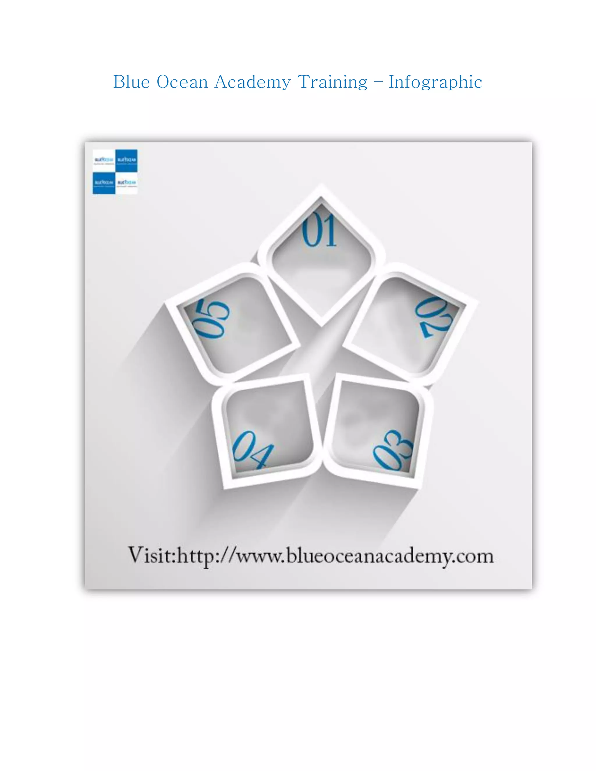 Blue Ocean Academy Training - Infographic | PDF