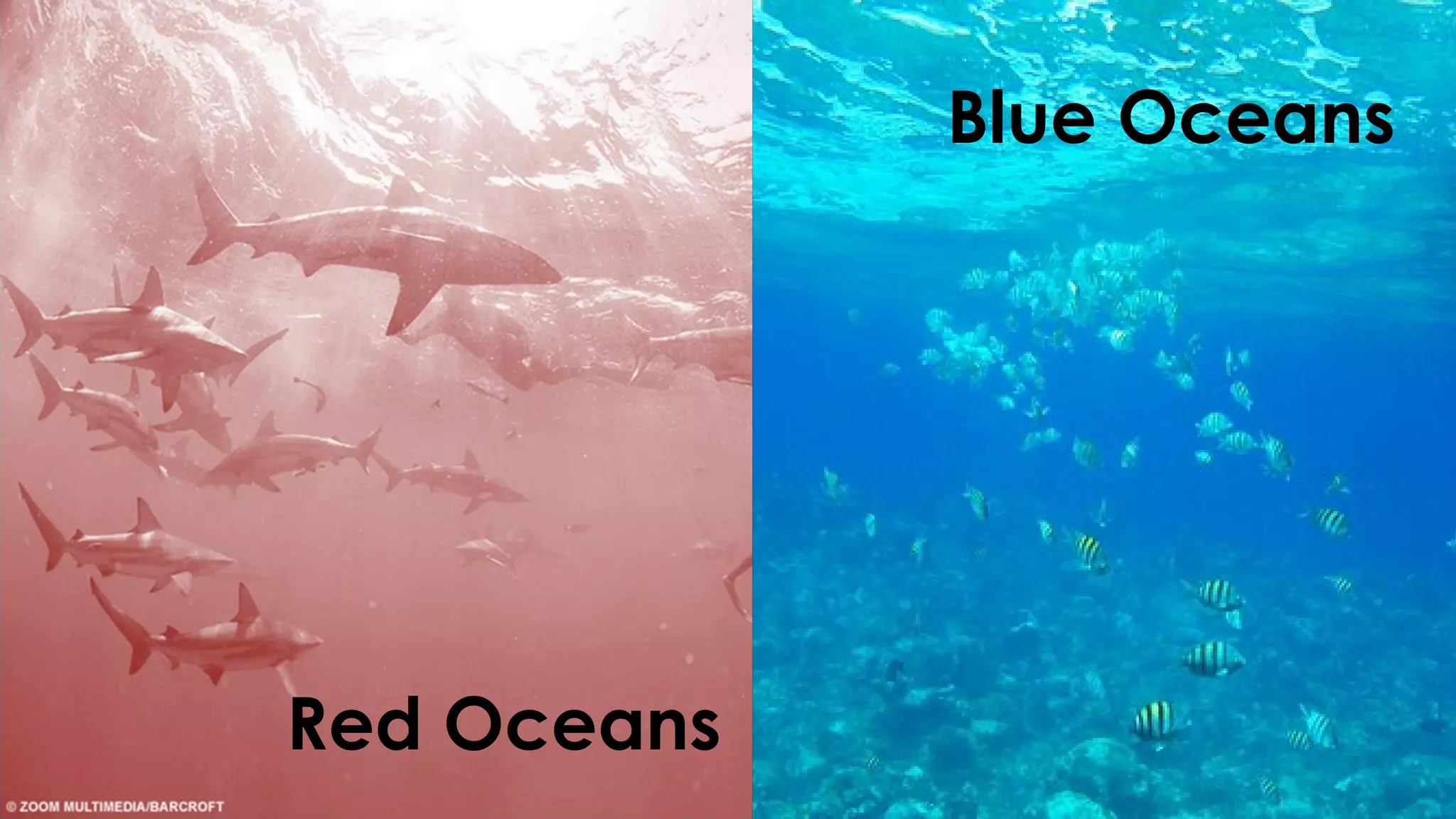 Blue Ocean Strategy | PPT
