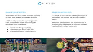 Blue Ocean Ventures | PDF