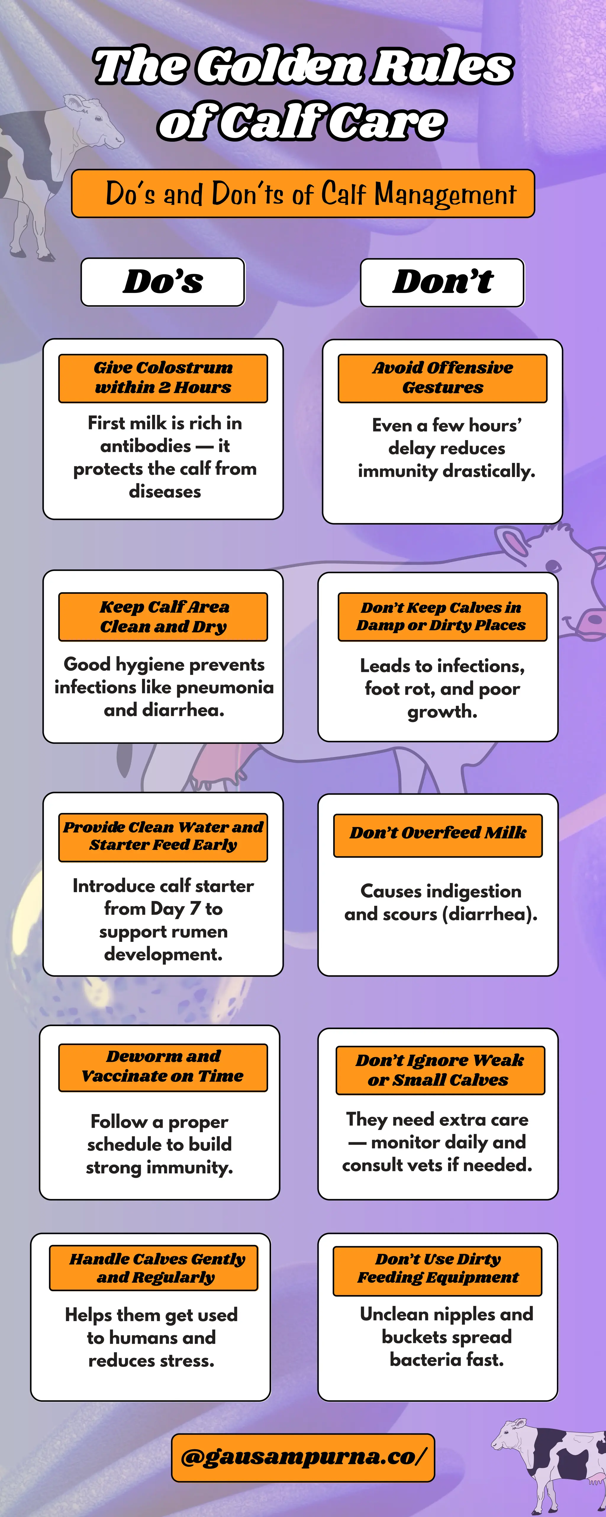 Calf Management Made Simple: Do It Right from Day One | PDF