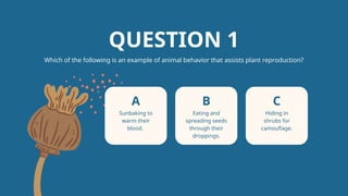 Blue Science Orange Scrapbook Collage Style Plant Behavior and ...