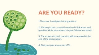 Plant Behavior and Reproduction Quiz Presentation .pptx