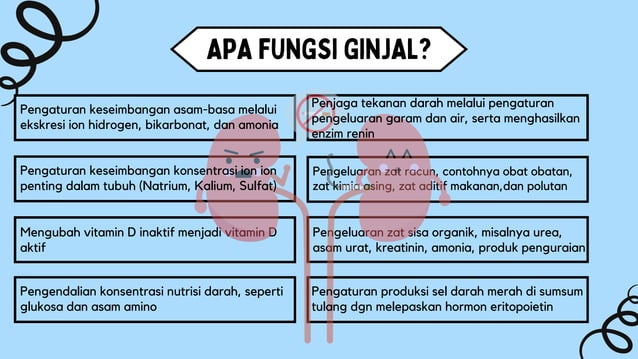 PPT BIOLOGI GINJAL | PDF