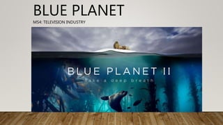 A Level MS4 Media Studies TV industry- Blue Planet | PPTX
