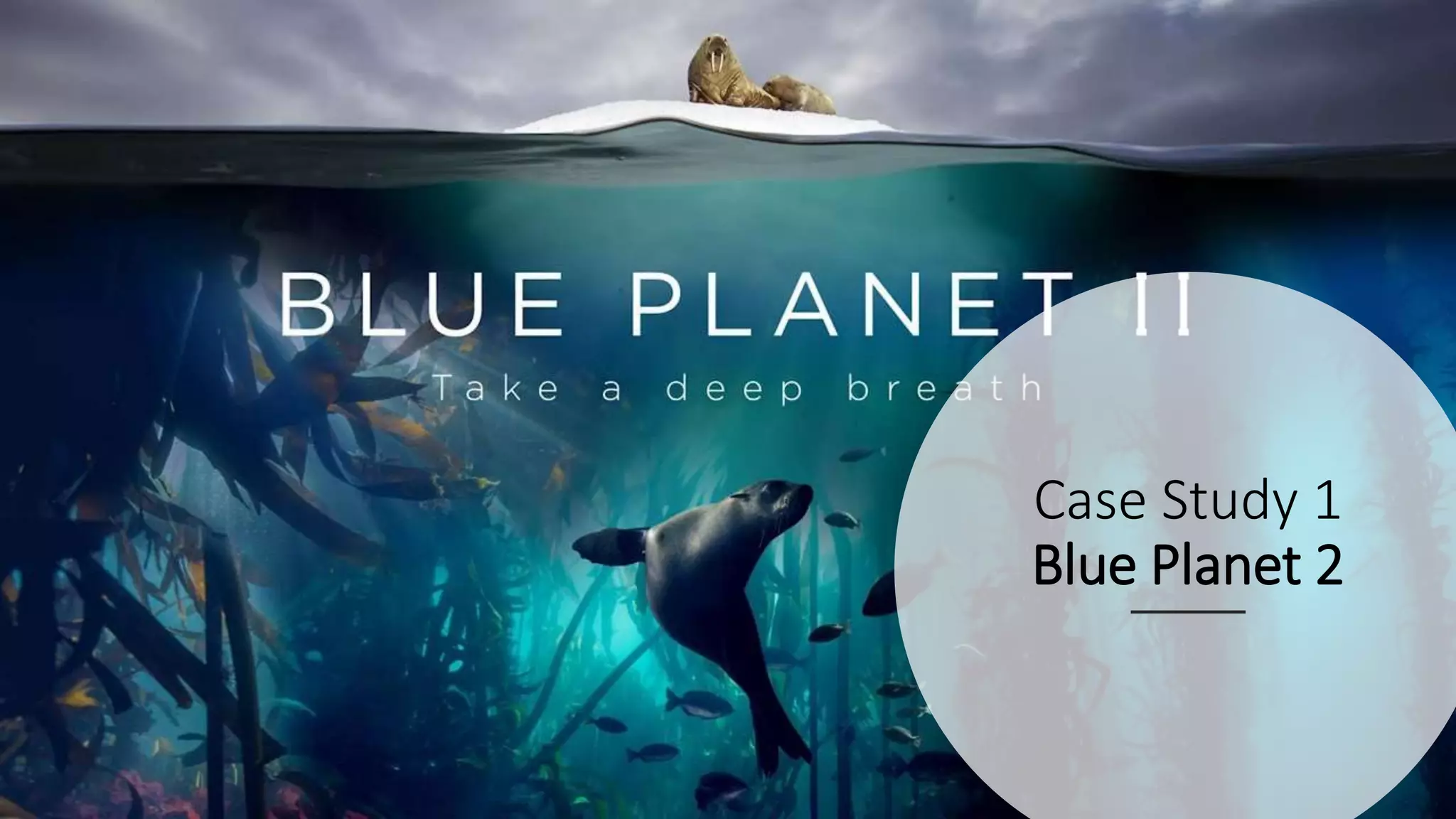 Blue planet 2 case study | PPTX