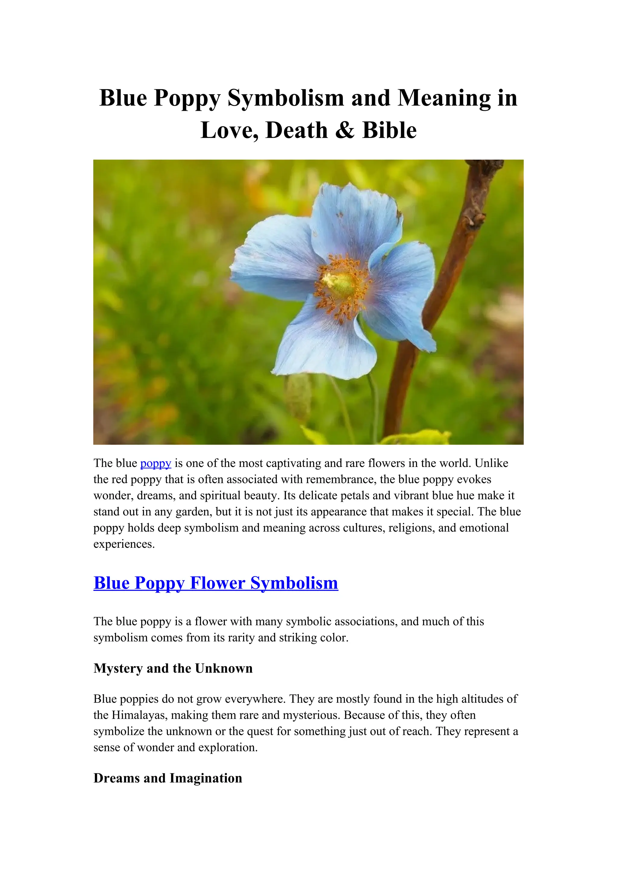 Blue Poppy Symbolism and Meaning in Love, Death & Bible.docx