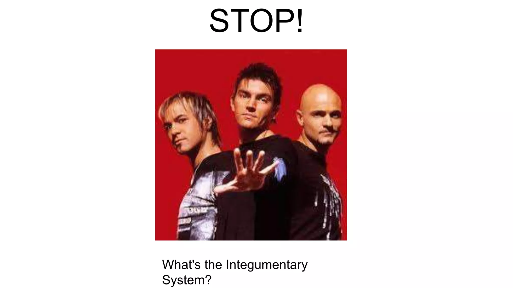 Blue Skin- Integumentary System | PPT