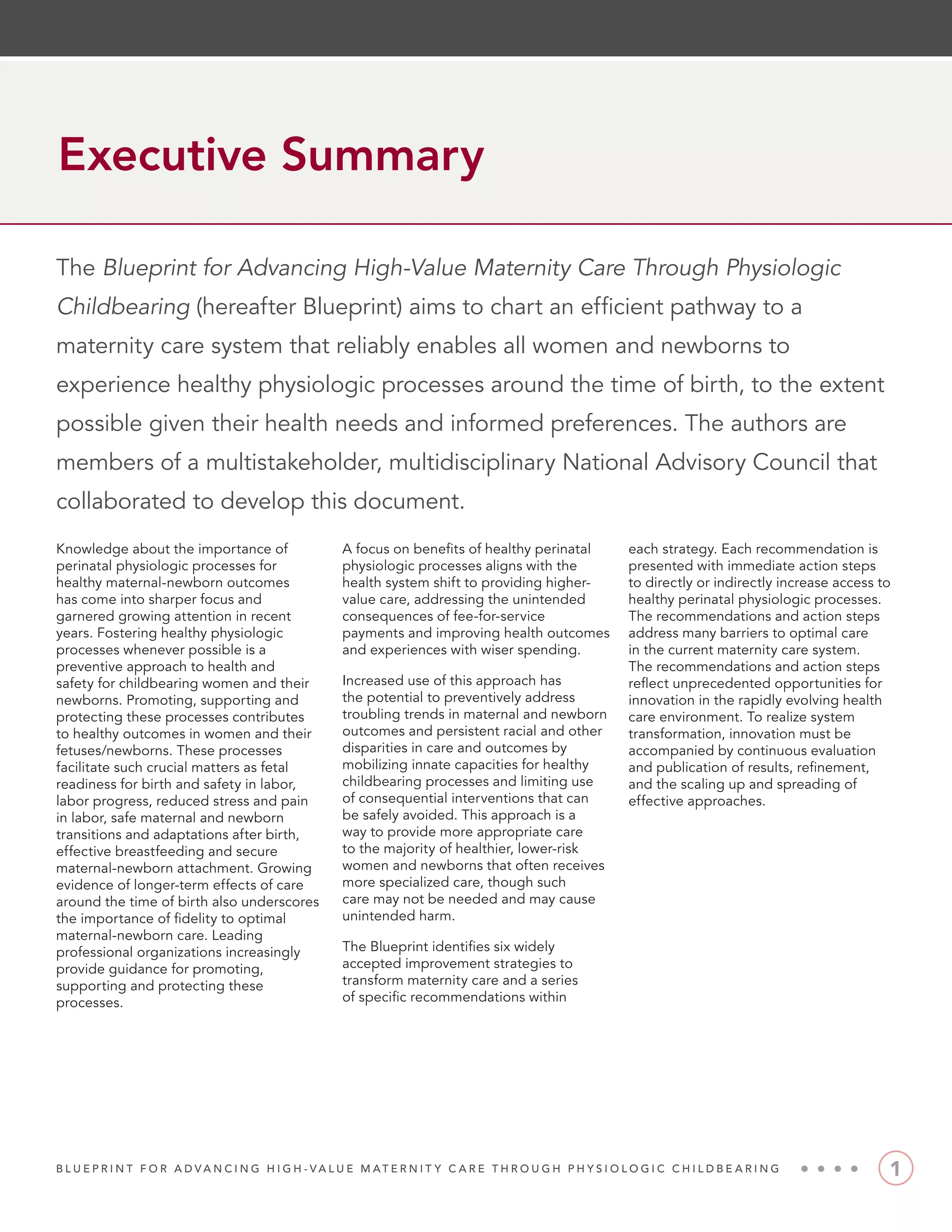 Blueprint for-advancing-high-value-maternity-care | PDF