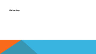 Blueprint_DIII Bidan.ppt