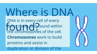 BLUEPRINT OF LIFE sample ppt for gr. 10.pptx