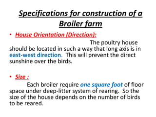 Blue print and specifications for a broiler poultry shed | PPTX