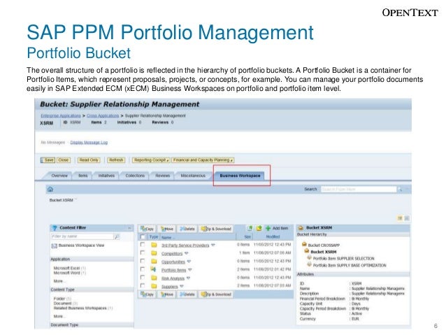 Sap Ppm Anleitung – Sap Portfolio Management Manual – WARRMX