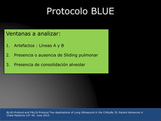 blue protocol Bedside lung Ultrasound in emergency | PPTX