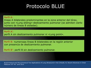 blue protocol Bedside lung Ultrasound in emergency | PPTX