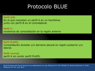 blue protocol Bedside lung Ultrasound in emergency | PPTX