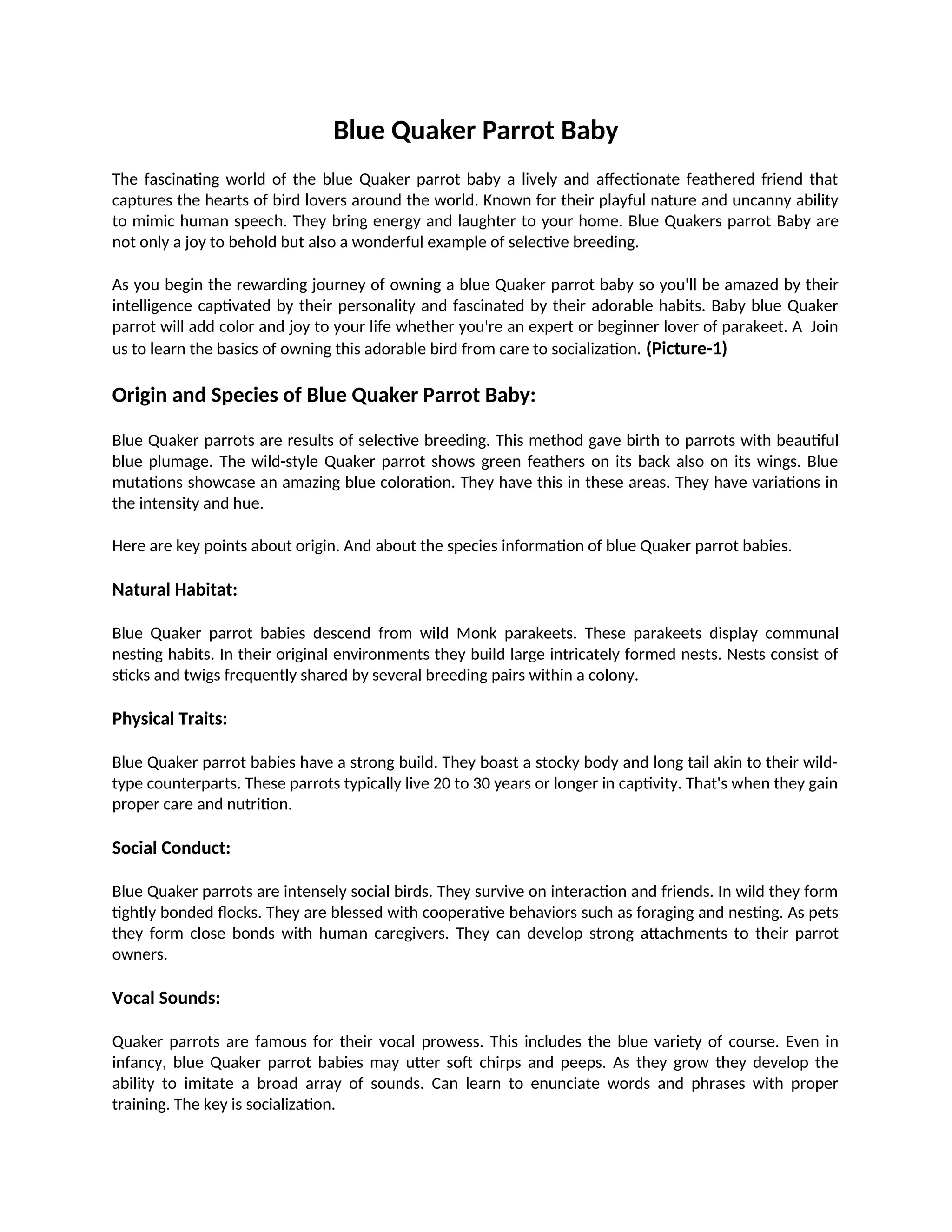 Blue Quaker Parrot Baby: Health and Care | DOCX