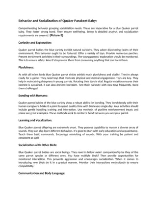 Blue Quaker Parrot Baby: Health and Care | DOCX