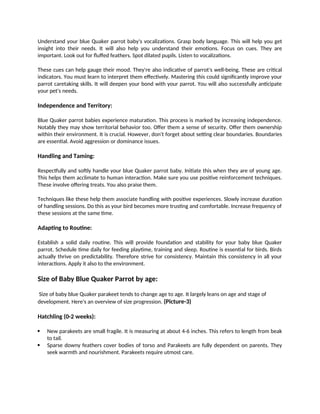 Blue Quaker Parrot Baby: Health and Care | DOCX