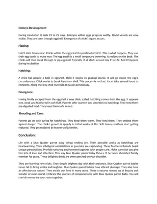 Blue Quaker Parrot Baby: Health and Care | PDF