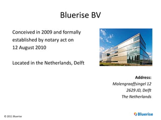 Bluerise introductory presentation | PDF
