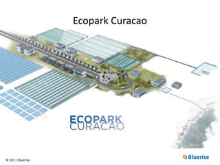 Bluerise introductory presentation | PDF