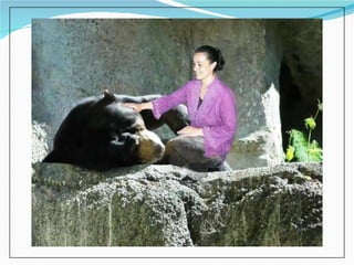 Bluescreen with umajin | PPT