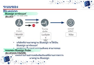 Bluesign SYSTEM some part.pptx