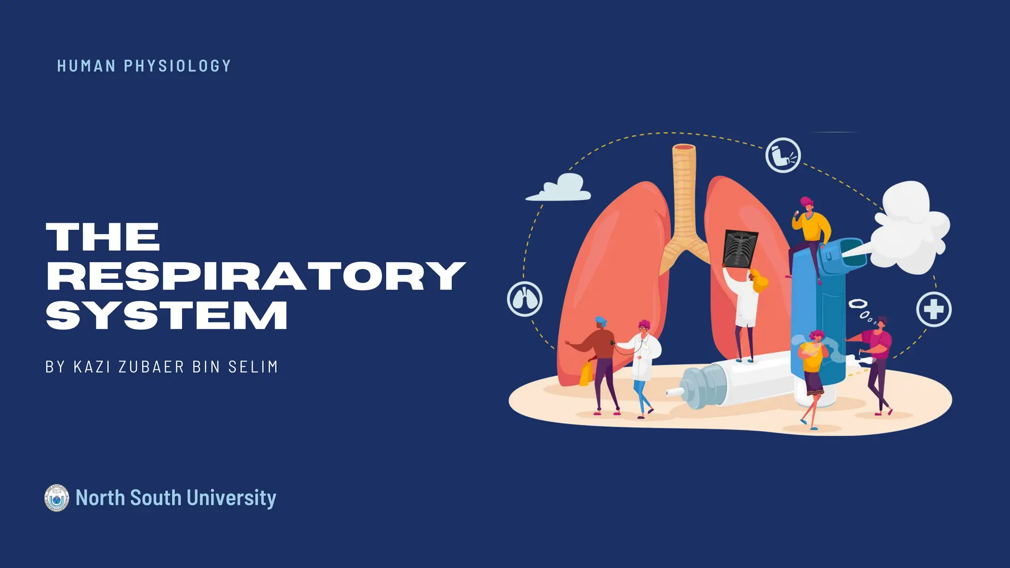 The Respiratory System - Human physiology and anatomy | PPTX