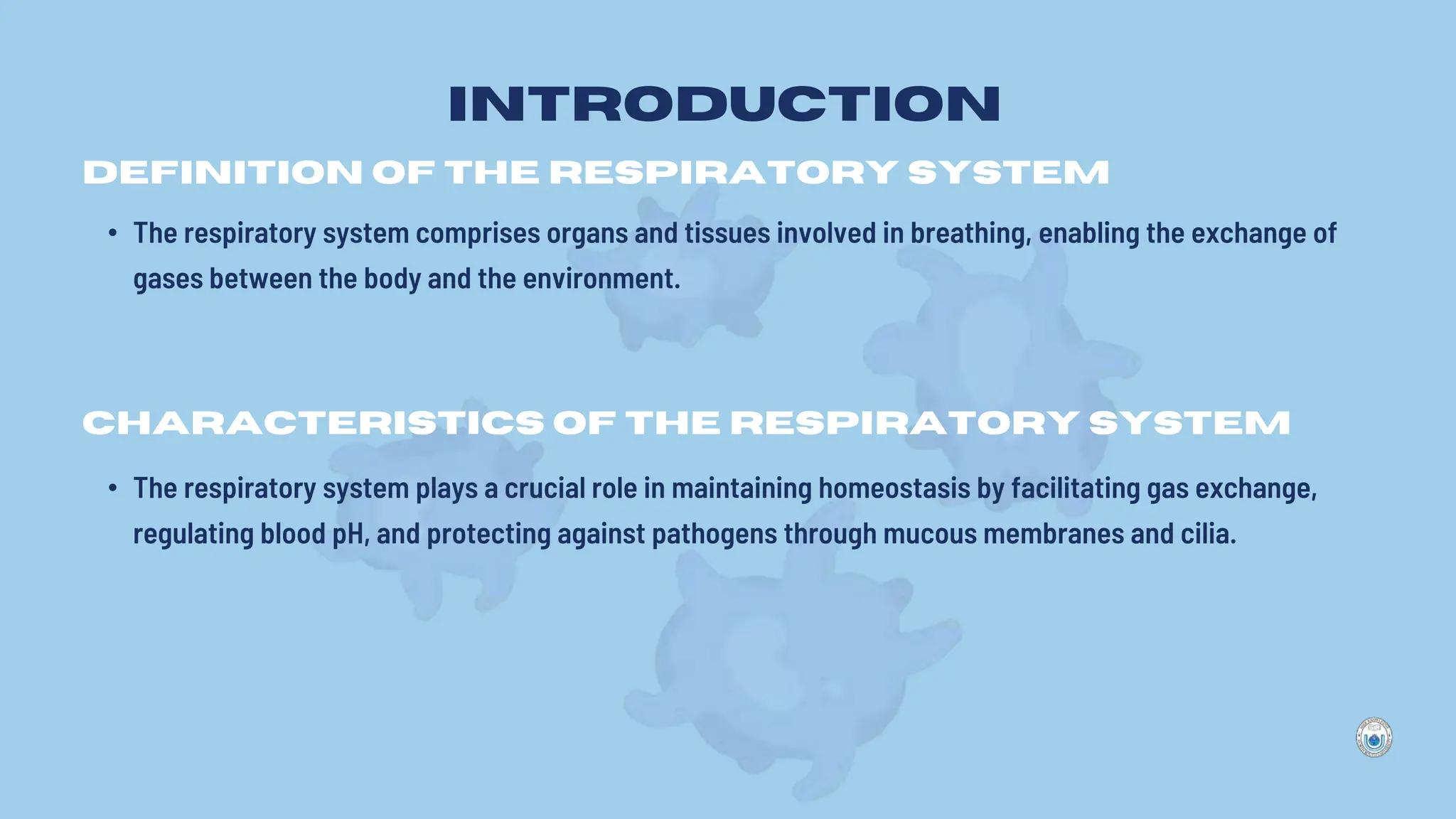 The Respiratory System - Human physiology and anatomy | PPT