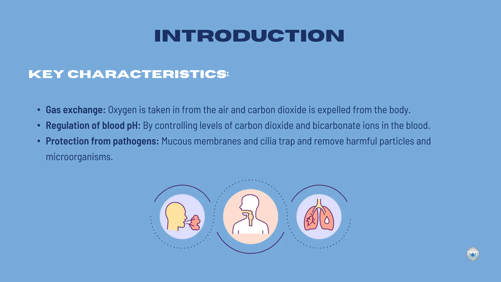 The Respiratory System - Human physiology and anatomy | PPTX