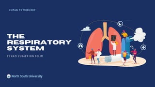 The Respiratory System - Human physiology and anatomy | PPTX
