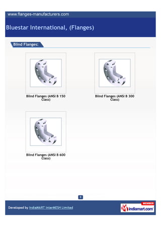 Bluestar International, (Flanges), Mumbai, Threaded Flanges | PDF