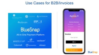 BlueSnap company overview Oct 2019 | PPT