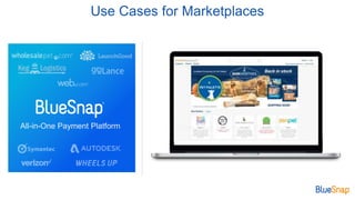 BlueSnap company overview Oct 2019 | PPT