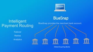 BlueSnap All-in-one Payment Platform Overview | PPT